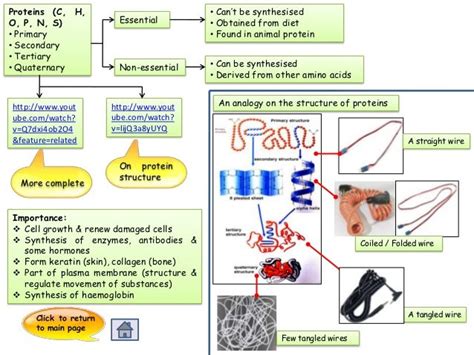 Chemical Composition Of Cell