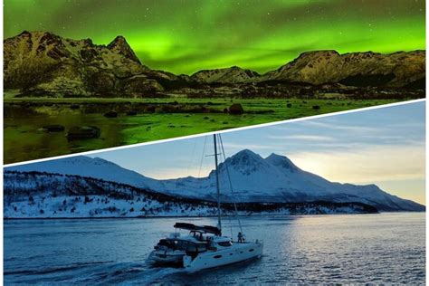 Northern Light Cruise With Luxury Catamaran In Tromso Norway
