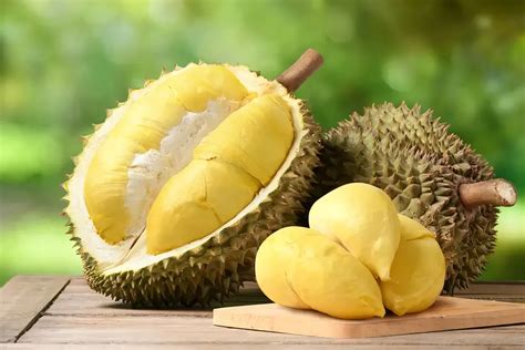8 Manfaat Buah Durian Ternyata Bisa Lancarkan Pencernaan