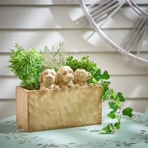 Cockapoo Planter 3 Set Cockapoo Cute Lovely Planter W 134cm X L 245cm