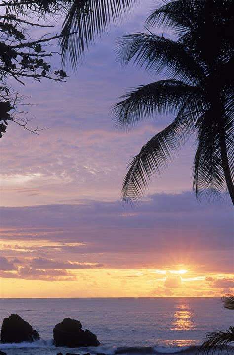 Osa Peninsula Photograph By Michael Lustbader Pixels