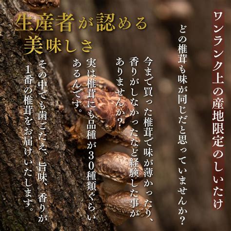 楽天市場しいたけ問屋メーカー直販価格 産地直送 大分産 原木 どんこ椎茸 100g しいたけ 干し椎茸 干ししいたけ 肉厚 乾燥 世界農業