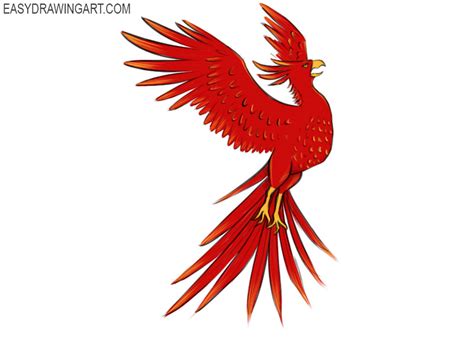 Phoenix Bird Drawings Simple