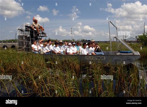 Airboat Ride Gator Park Miami In The Everglades National Park Florida