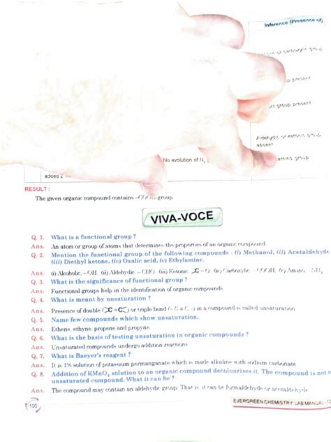 Functional Groups Pdf Aldehyde Amine