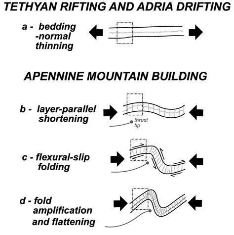 Deformation Model To Show How The Structural Evolution Inferred From Download Scientific