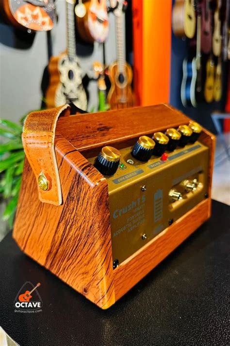 Flatsons Crush15 Portable 15W Amp with Bluetooth speaker & Mic