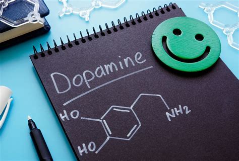 Unlock Focus Joy Productivity With Our Dopamine Menu Forum Health