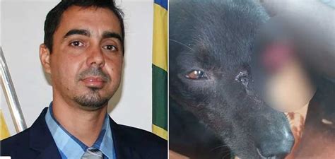 Suspeito de atirar em cachorro e cegá lo de um olho vereador é preso
