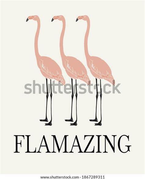 Flamazing Vector Hand Drawn Minimalistic Illustration Stock Vector