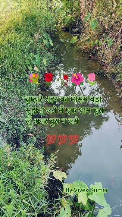 Tumhare Shahar Ka Mausam Bada Suhana Lage Whatsapp Status Viral