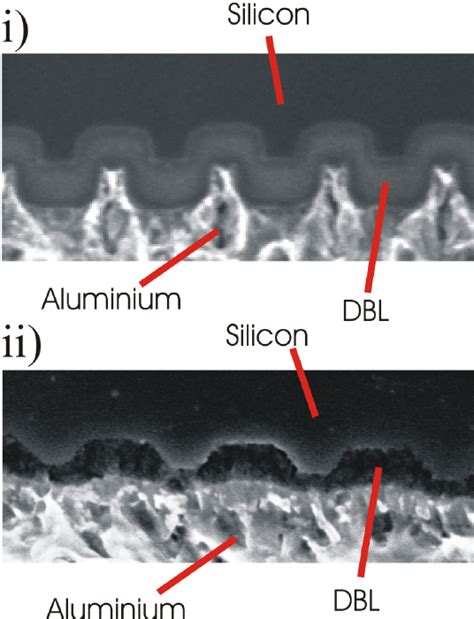 Sem Micrographs Of The Cross Section Of The Rear Side Of Two Solar Cell