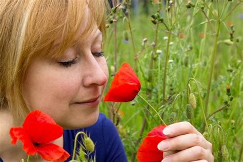 Blithe Meaning Examples Blithe In A Sentence