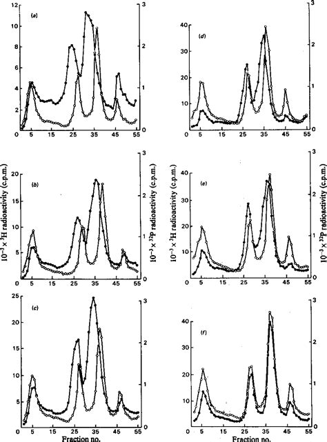 Figure 3 From Abnormal Ribosome Assembly In A Mutant Of Escherichia