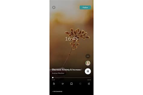 I Tried Insight Timer App In 2023 Here S How It Went