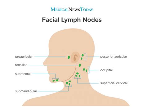 Posterior Cervical Lymph Nodes Swollen Causes