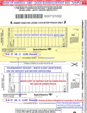 Bank Of America Deposit Bag Fill Online Printable Fillable Blank