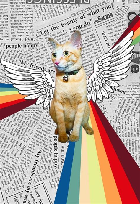 Chibi Fly Chibi Pets Lovely