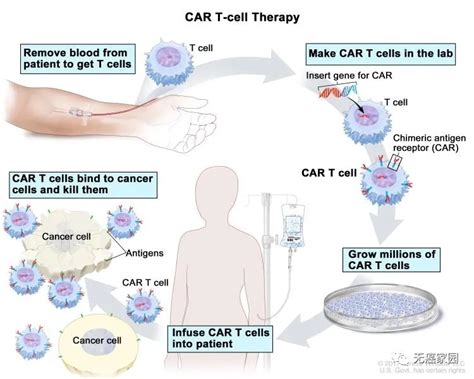 Cd19cart细胞免疫疗法大数据证明第二代cd19 Car T疗法yescartaaxi Cel成为治疗癌症的新力量全球肿瘤医生网