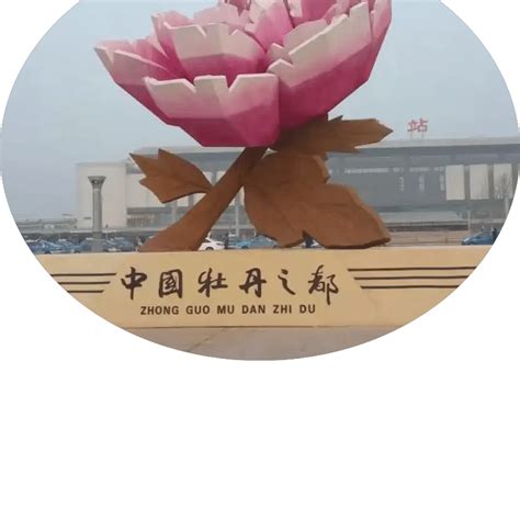 牡丹区安兴镇中心卫生院胃肠镜室今日开诊检查群众服务