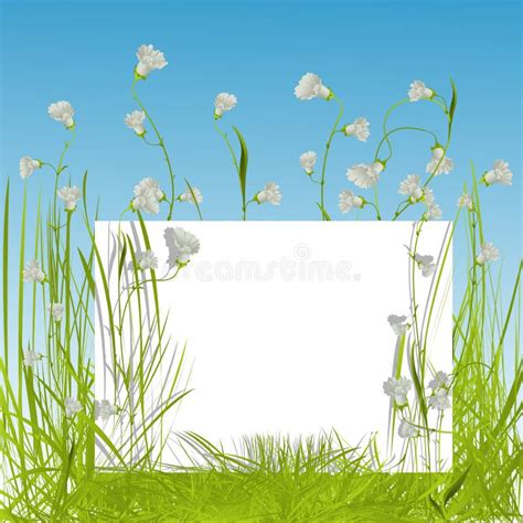 White Sing In The Grass Stock Vector Illustration Of Backdrop 20850883
