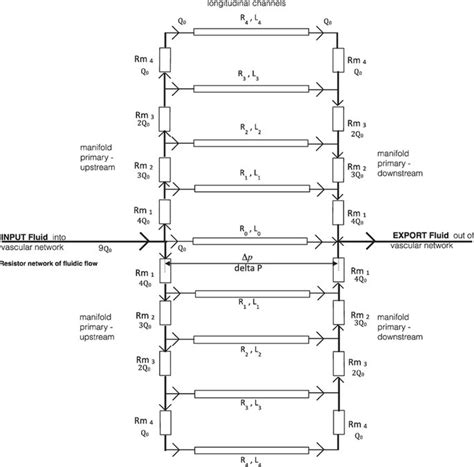 Fluidic Resistor Network Download Scientific Diagram