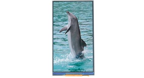 Z49416 5 Inch 480 854 POS LCD TFT Display JD9161Z Controller MIPI