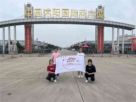 携一沭花香助经济向阳关于花木产业推动宿迁沭阳乡村振兴的调研 多彩大学生网