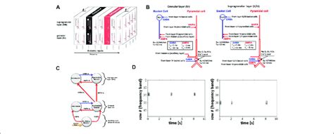 Neural Network Model Of Auditory Cortex A Schematic Of Multi Layer Download Scientific