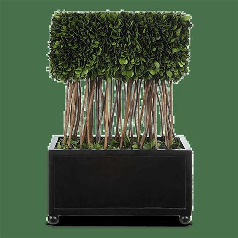 Preserved Boxwood Rectangular Topiary Uttermost