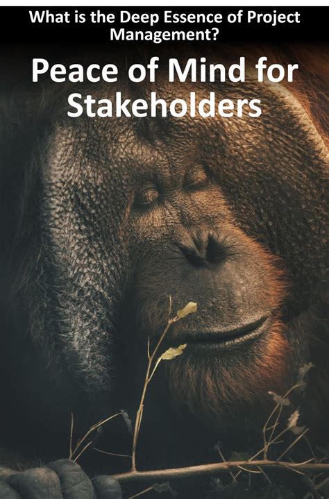 Markus Kopko Posted On Linkedin