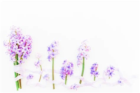 히 아 신 스 꽃 핑크와 흰색 바탕에 초라한 테이프의 꽃다발 평면 위치 최고 볼 수 있습니다 0명에 대한 스톡 사진 및 기타