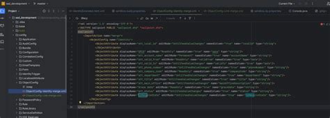 ERROR IdentityExtended Hbm Xml Property LocalId Is Not Defined In