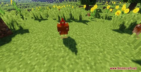 Better Chickens Resource Pack 1minecraft