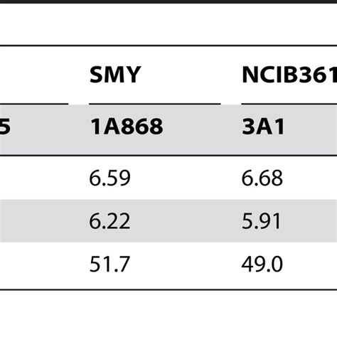 Summary Of Sequence Reads And Coverage Download Table