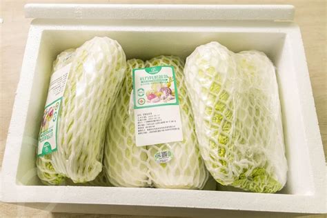 远方的梦想有机娃娃菜 有机蔬菜水果类 远方好物 欢迎店主加入 店长申请开店 了解代理加盟流程