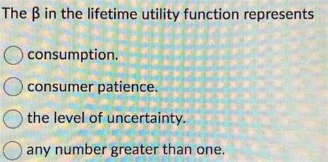 solved the b in the lifetime utility function represents