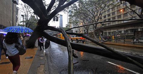 Chuva Causa Queda De árvores E Complica Trânsito Em São Paulo
