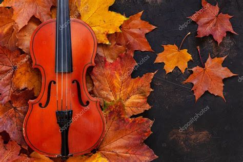 Violín viejo con hojas de arce amarillo de otoño sobre fondo negro 2023