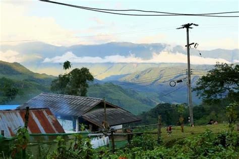 🐧 🏡 🌳 เนื่องจากในสถานะการปัจจุบัน ได้มีการเฝ้าระวังเรื่องสุขภาพ การควบคุมโรคระบาดโควิด 19 ทาง