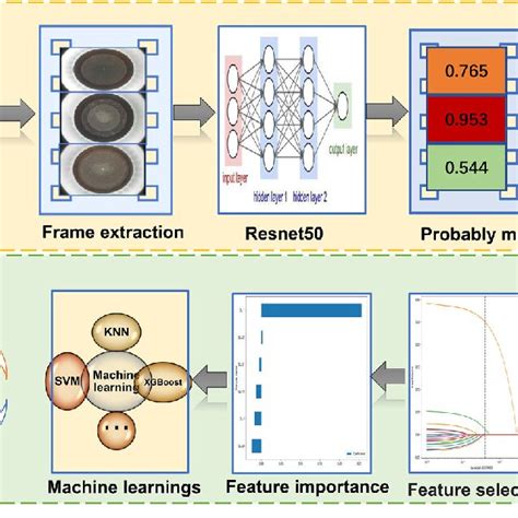 The Deep Learning Dl Model Resnet50 For Image Prediction A Curve Download Scientific