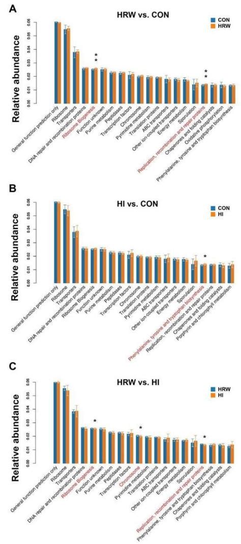Differentially Enriched Kegg Pathways The Functional Prediction At Download Scientific Diagram