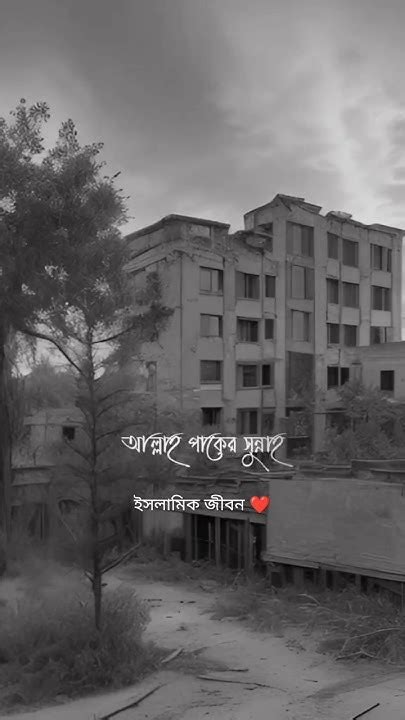 আল্লাহ পাকের সুন্নাহ বোঝা খুব দুষ্কর 🤔 🎙️আবু তুহা মুহাম্মদ আদনান