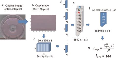 Schematic Diagram Of The Calculation Sequence Adopted For Conversion Of
