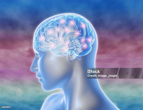 뇌 기능을 생각 합니다 신경과 신경 과학 개념 여자 얼굴과 뇌 3d 렌더링 Mental Wellbeing에 대한 스톡 사진 및