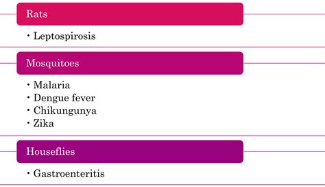 Vector Borne Diseases Csec Biology And Csechsb