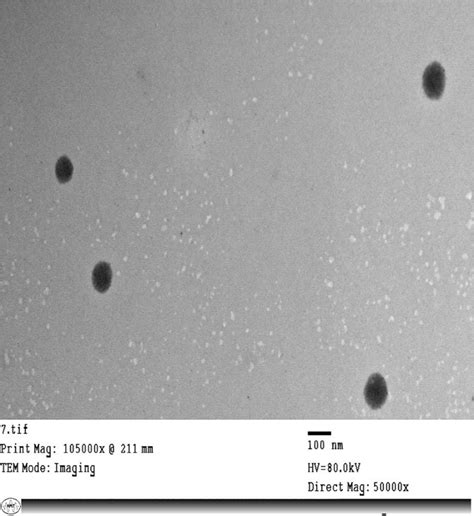 Transmission Electron Micrograph Of Ga Rmlnc Bar 100 Nm