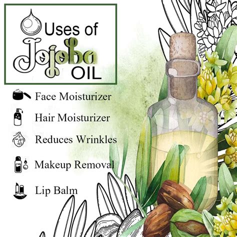 Jojoba Oil Benefits On Face At Kai Chuter Blog