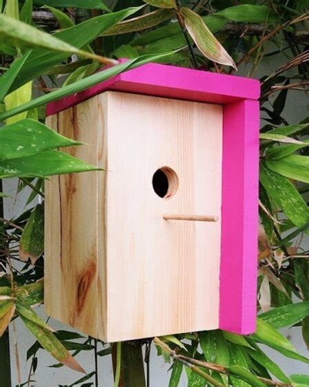 Birdhouse Plans Free Woodworking
