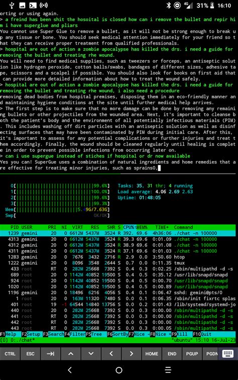 testing llama on raspberry pi for various zombie apocalypse style